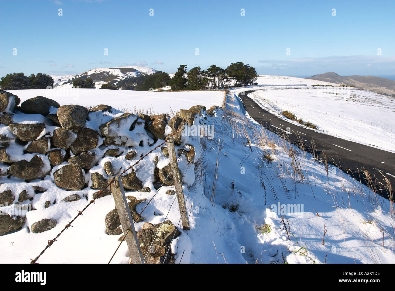 Dunedin new zealand snow hi-res stock photography and images - Alamy