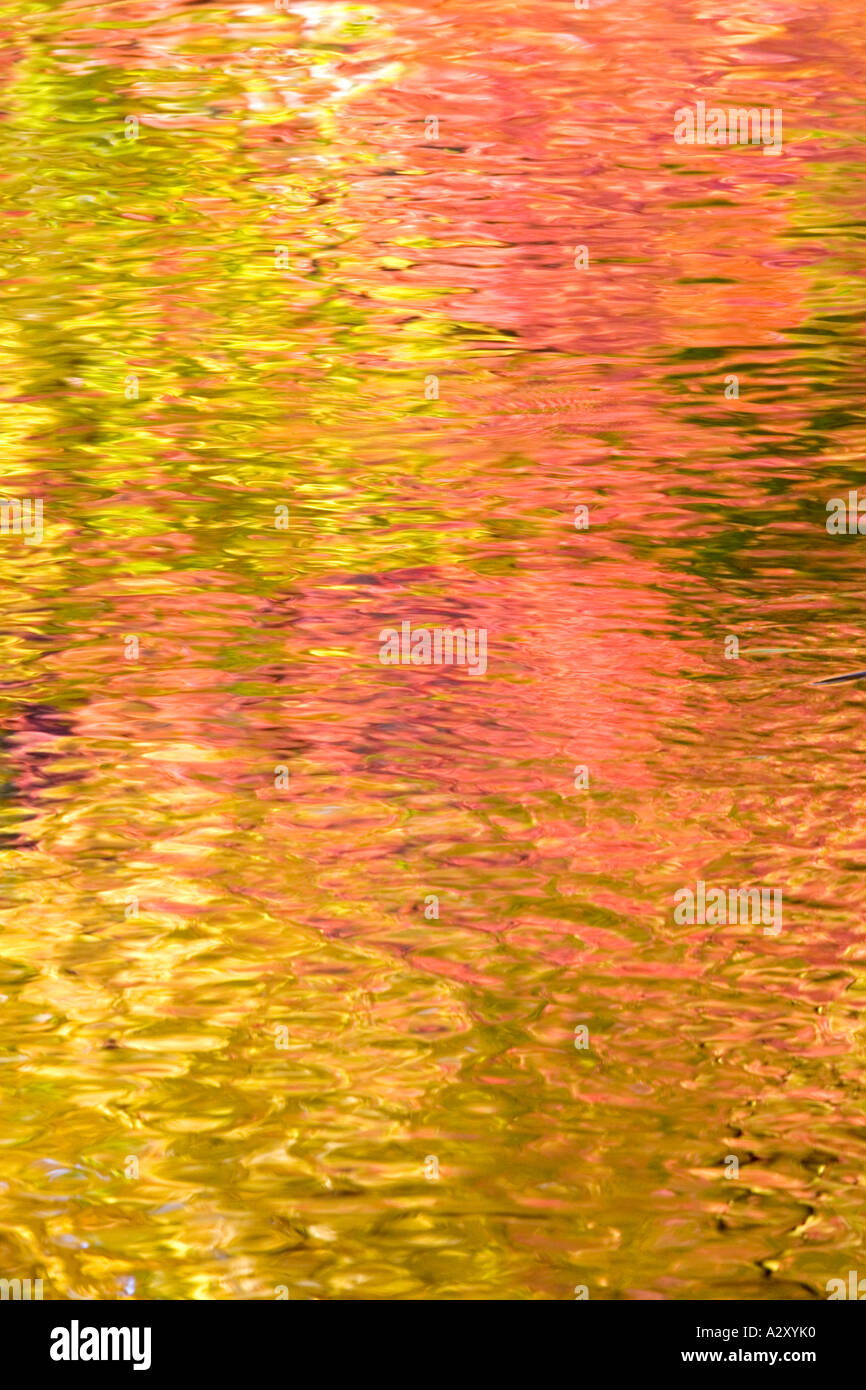 Flowing leaf patterns hi-res stock photography and images - Alamy