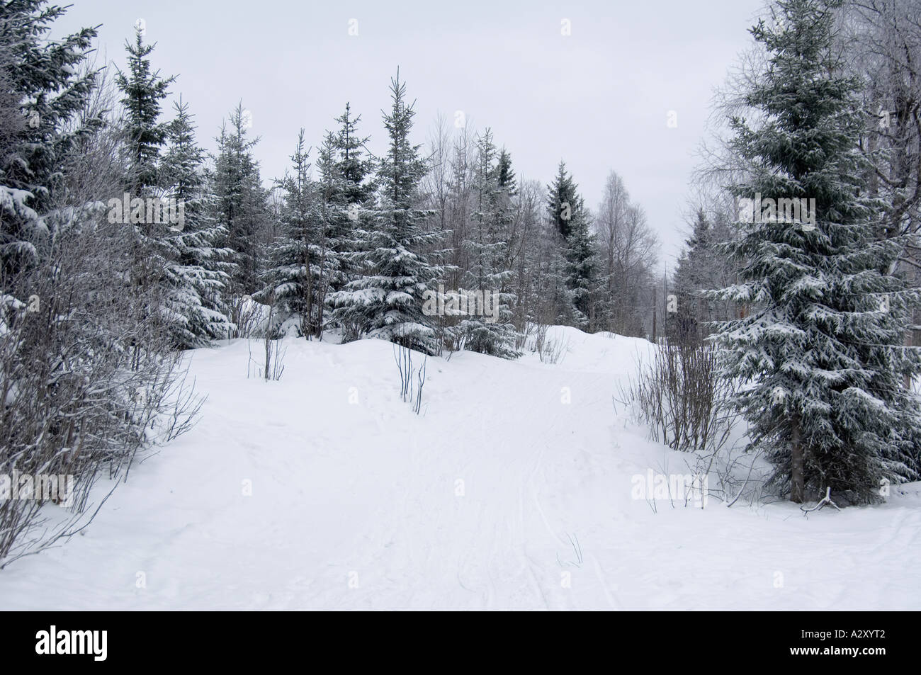 Narnia scene hi-res stock photography and images - Alamy