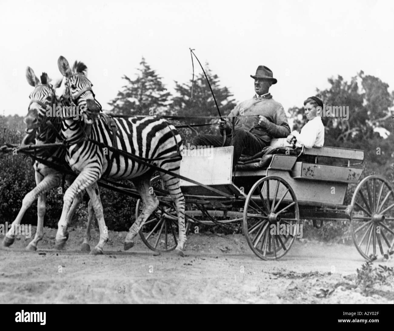 Curious george Black and White Stock Photos & Images - Alamy