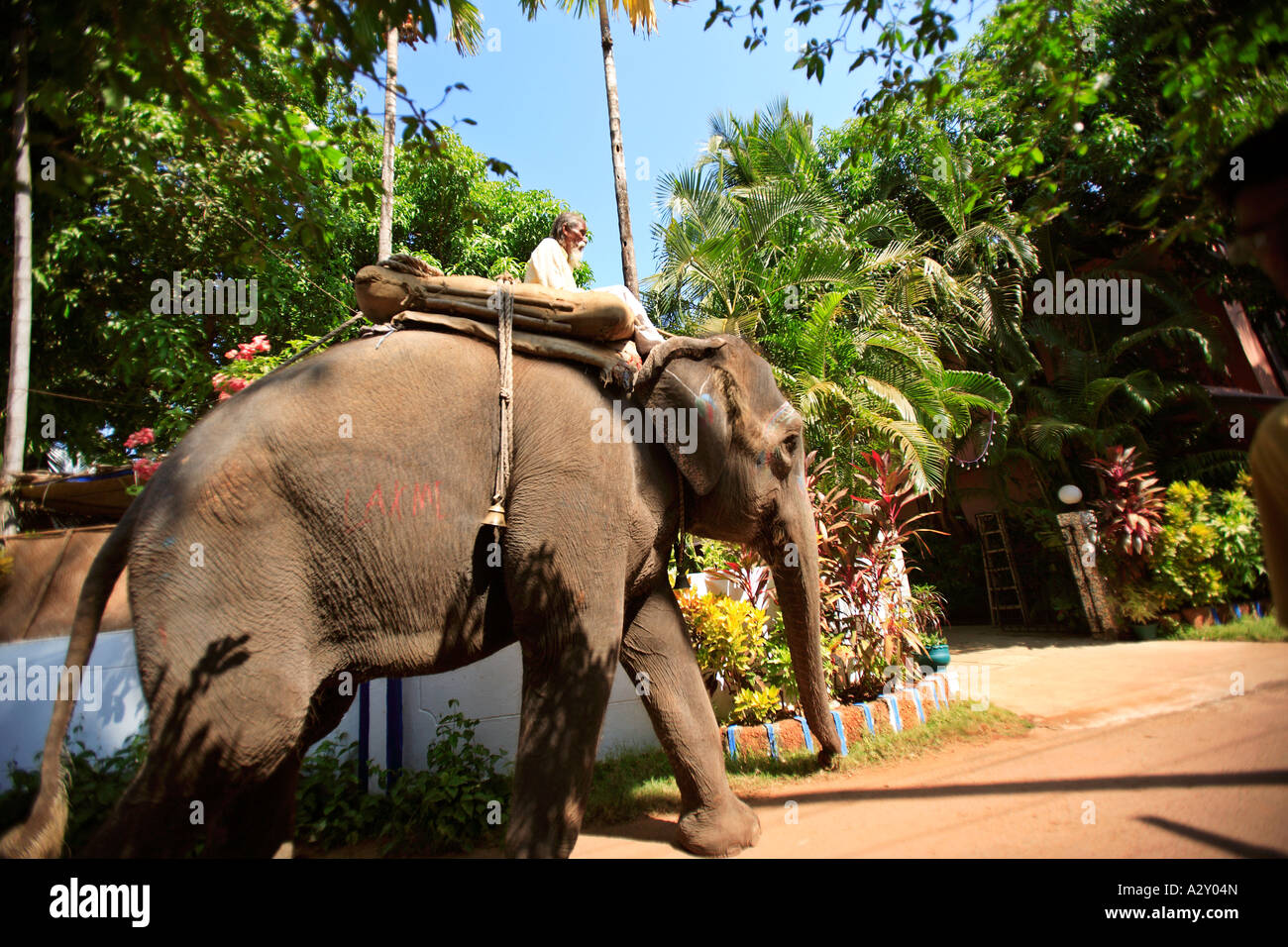 Arabian coast road india hi-res stock photography and images - Alamy