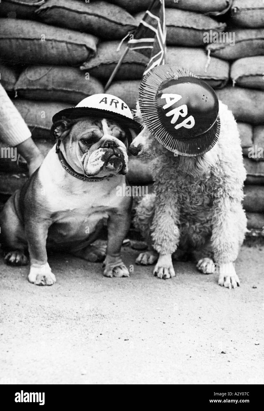 Germany poland invasion 1939 Black and White Stock Photos & Images - Alamy