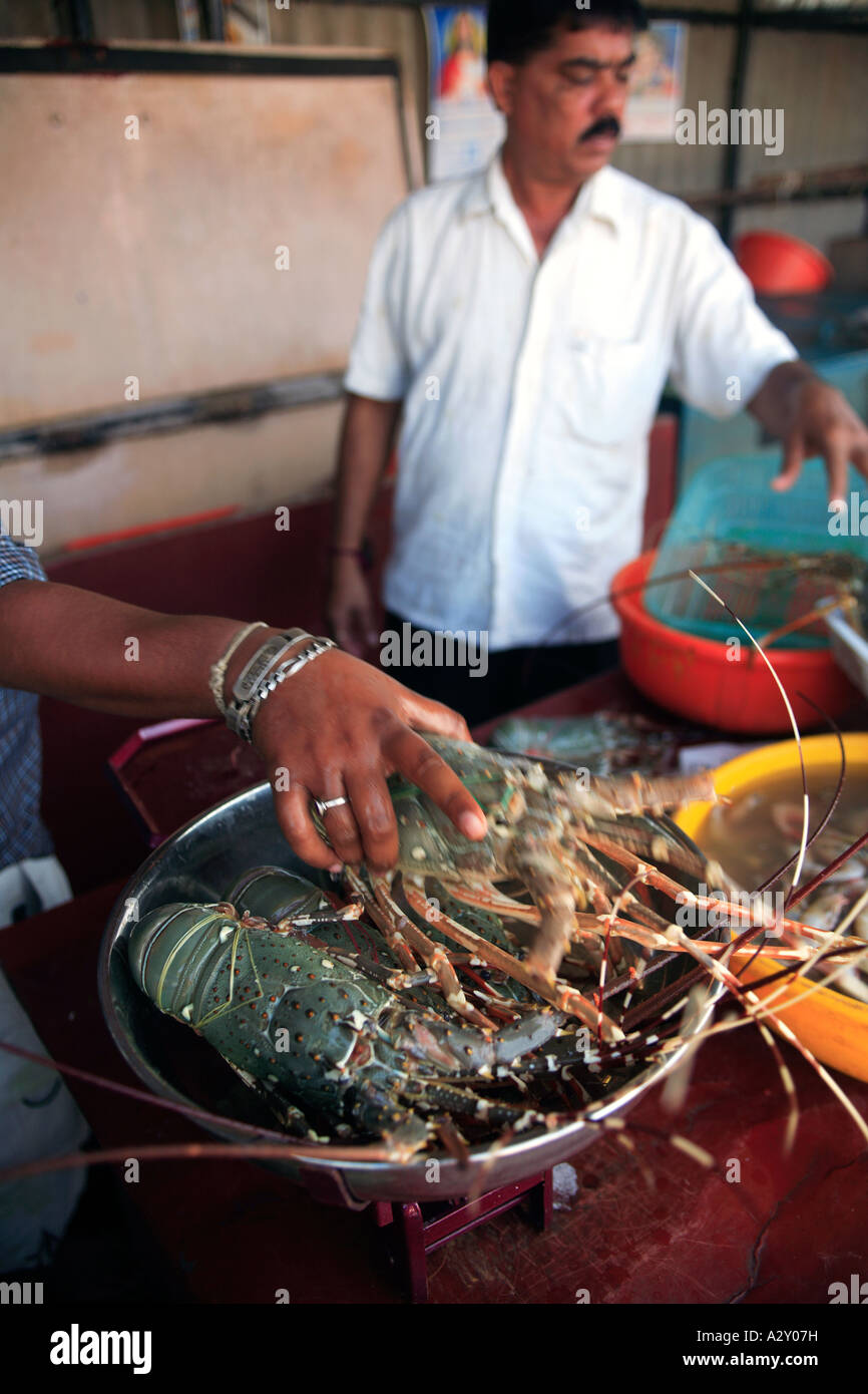 INDIA NORTH GOA THE PANAJI FISH MARKET LOBSTERS Stock Photo - Alamy