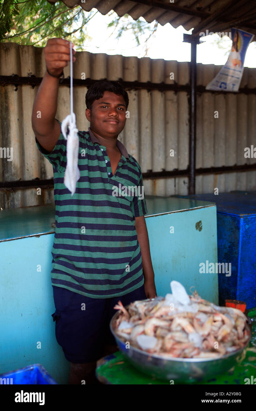 INDIA NORTH GOA THE PANAJI FISH MARKET A MAN HOLDING A SQUID Stock ...