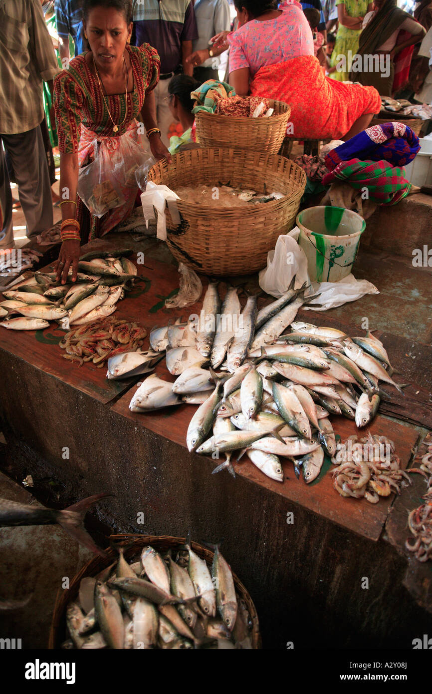 INDIA NORTH GOA THE CALANGUTE FISH MARKET Stock Photo - Alamy