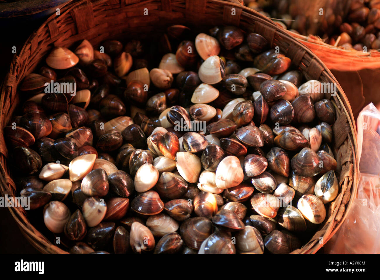 INDIA NORTH GOA THE CALANGUTE FISH MARKET Stock Photo - Alamy