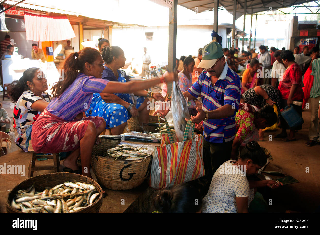 INDIA NORTH GOA THE CALANGUTE FISH MARKET Stock Photo - Alamy