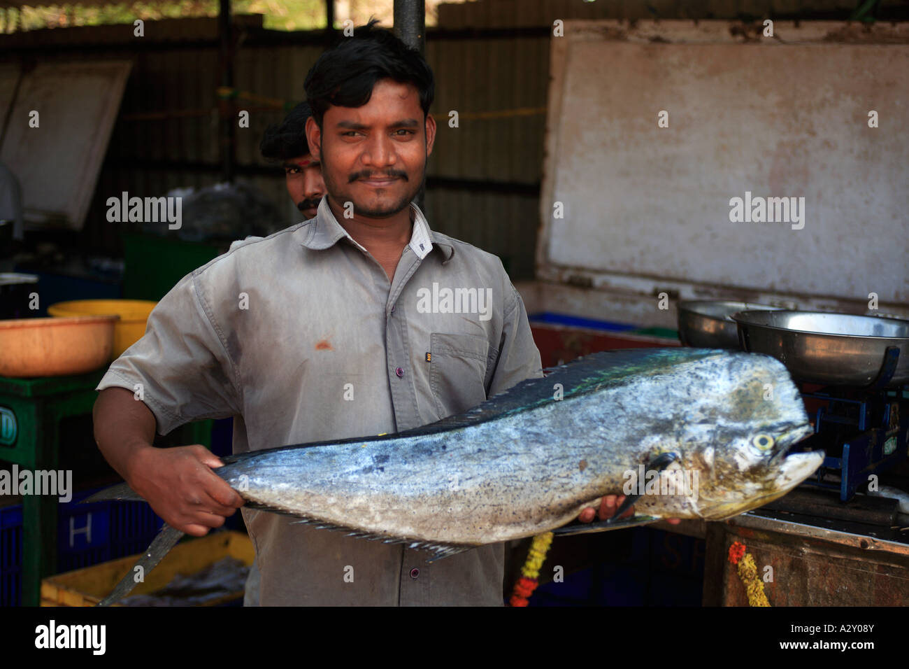 INDIA NORTH GOA THE PANAJI FISH MARKET A MAN HOLDING A FISH Stock Photo ...