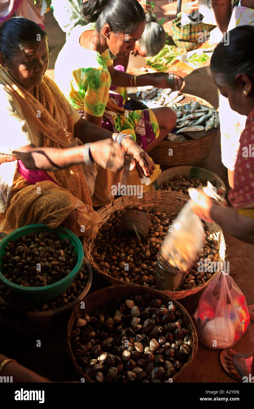 INDIA NORTH GOA THE CALANGUTE FISH MARKET Stock Photo - Alamy