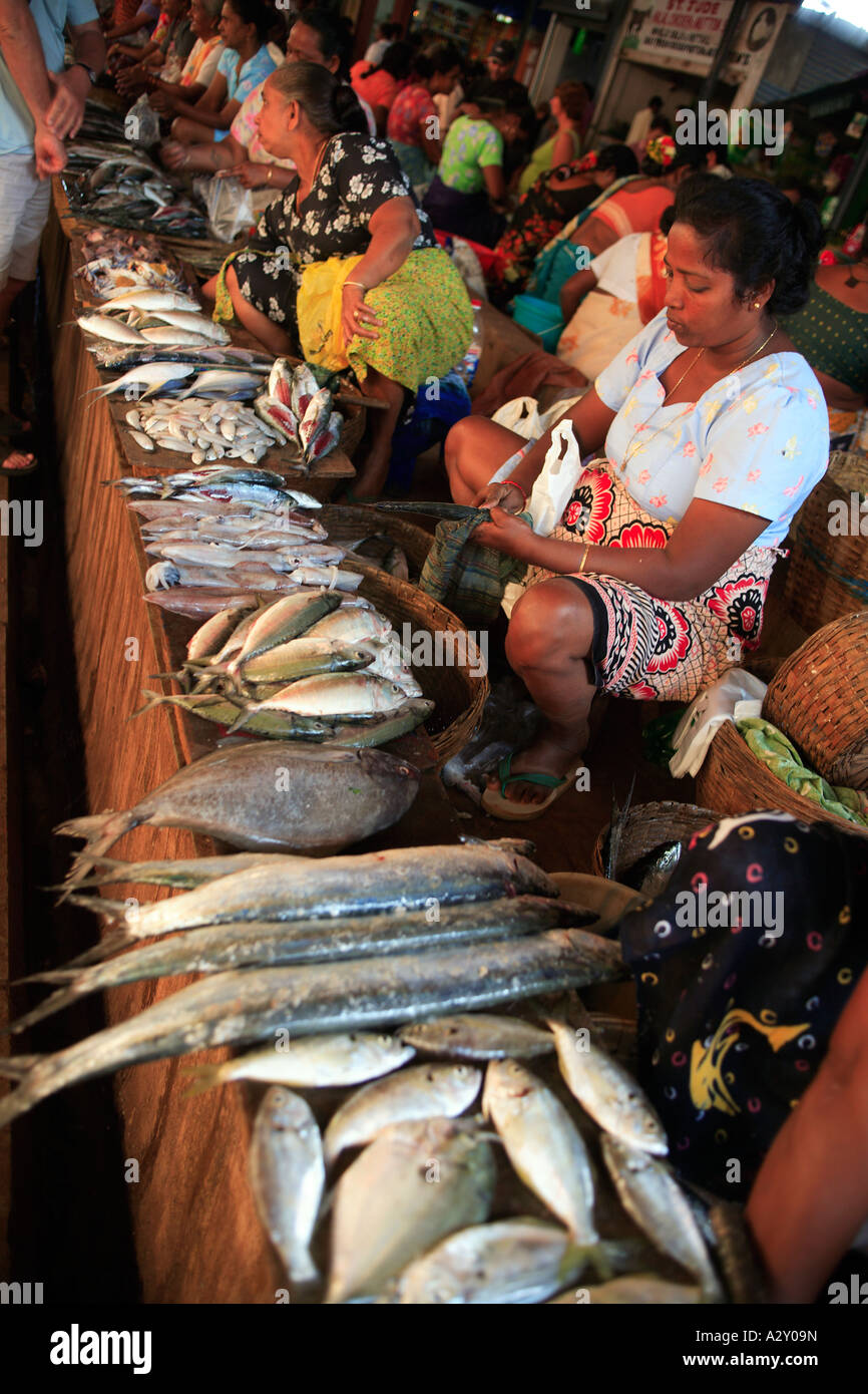 Fish Market Goa