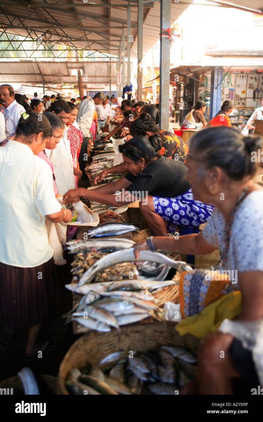INDIA NORTH GOA THE CALANGUTE FISH MARKET Stock Photo - Alamy