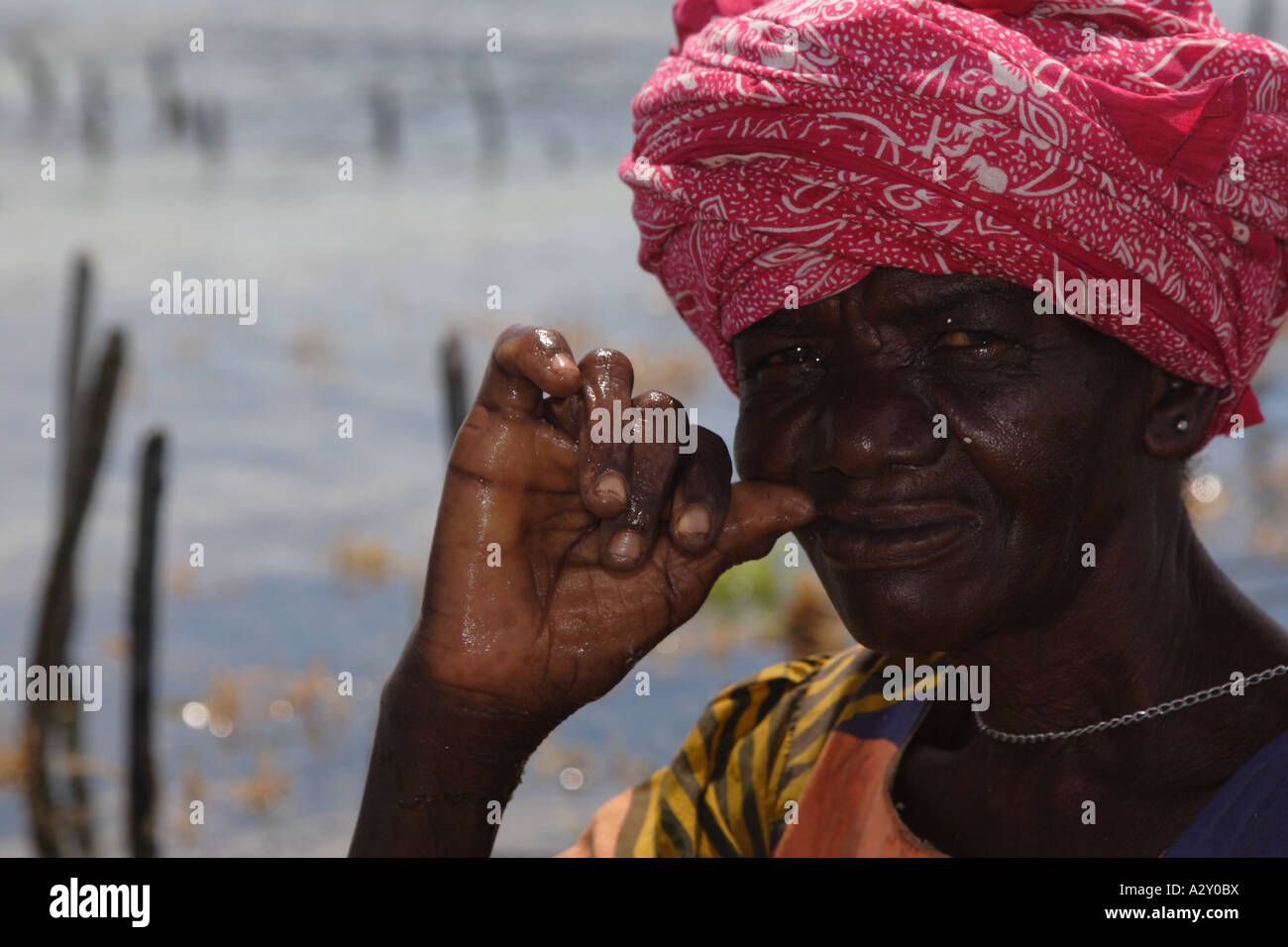 One of the many seaweed farming ladies visible whenever the tide is out ...