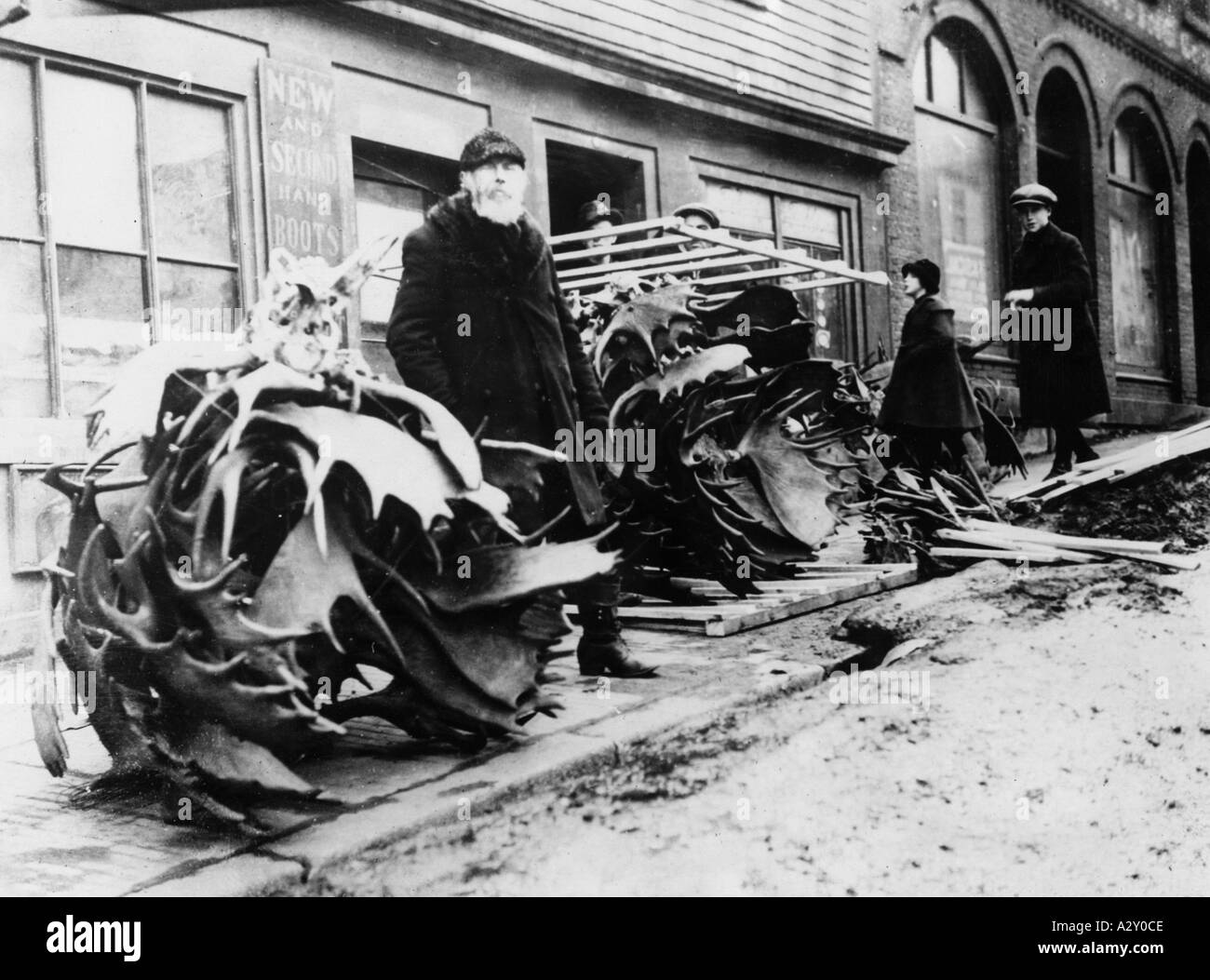 John moose Black and White Stock Photos & Images - Alamy