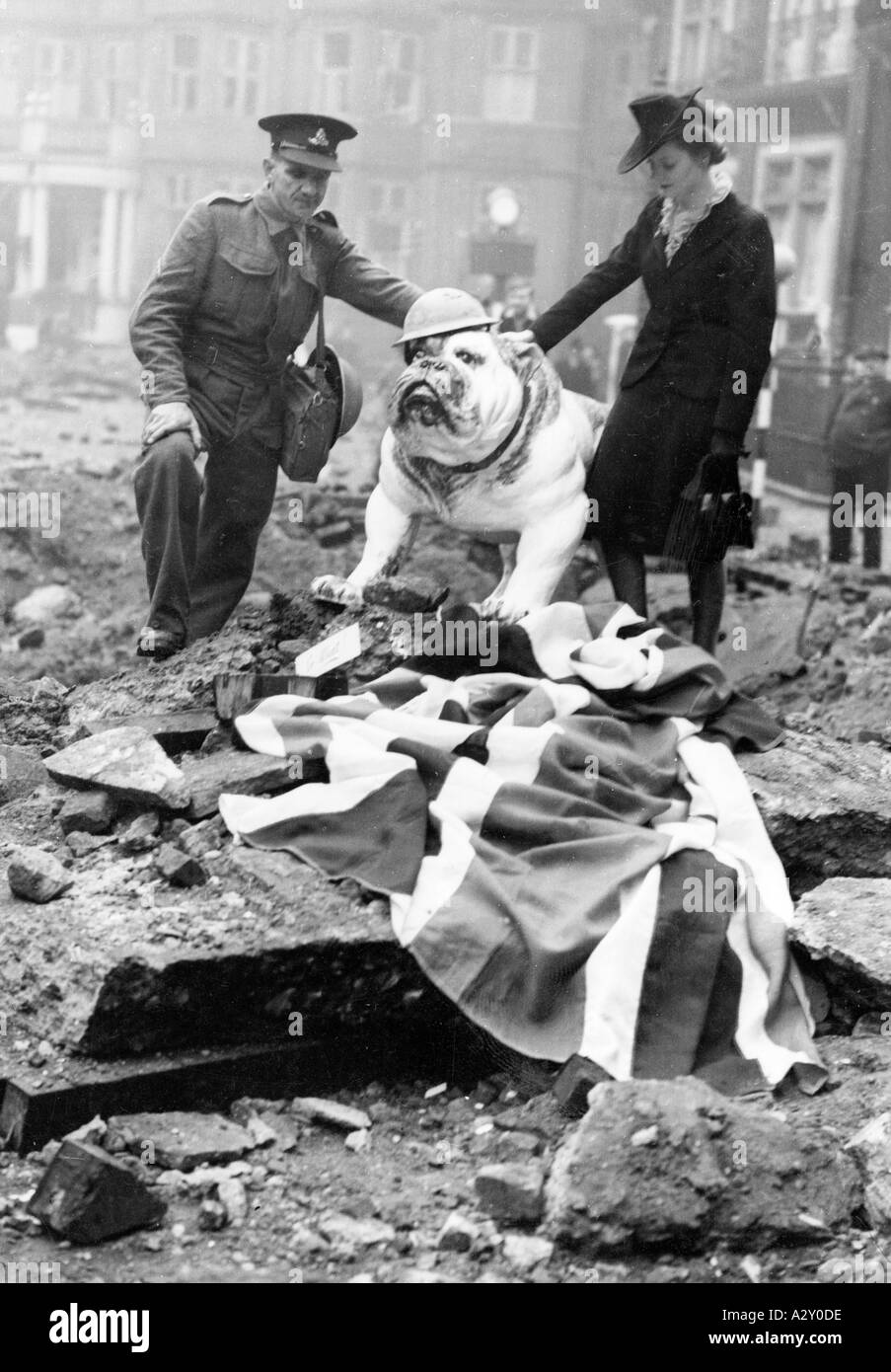 Zweiter weltkrieg hund hi-res stock photography and images - Alamy