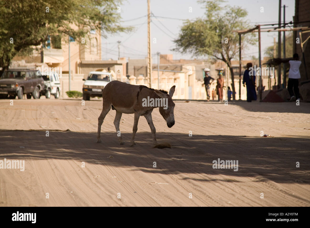 Street scene timbuktu mali hi-res stock photography and images - Alamy