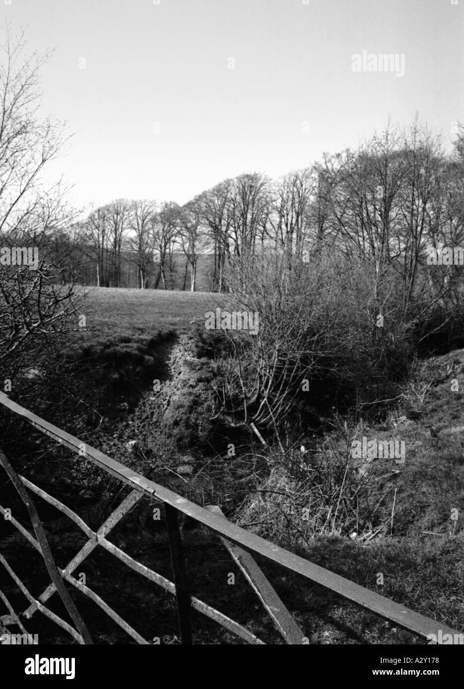 trees with rusing gate in forground Stock Photo - Alamy
