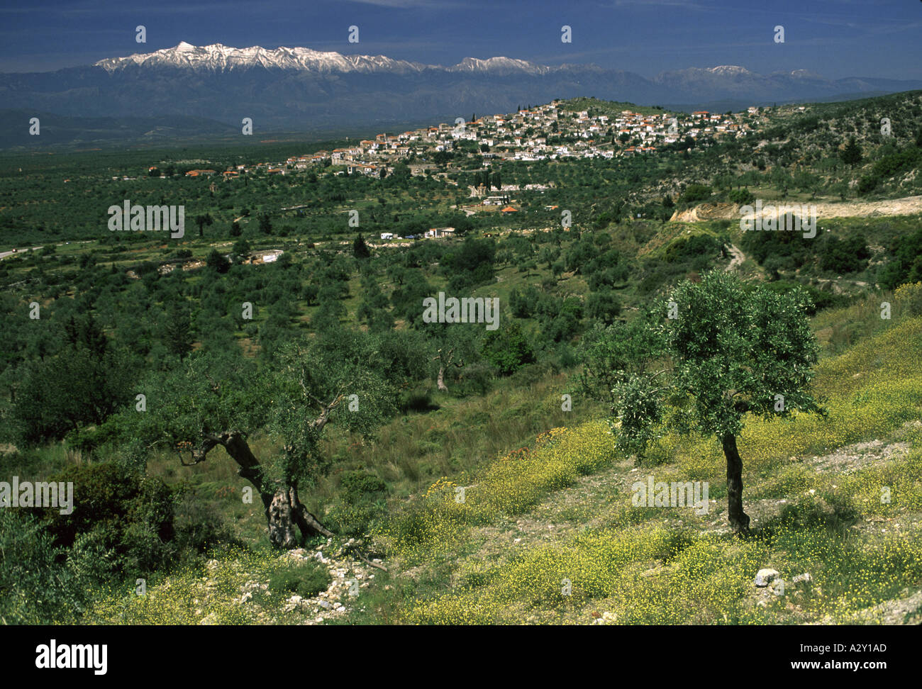 Evrotas hi-res stock photography and images - Alamy