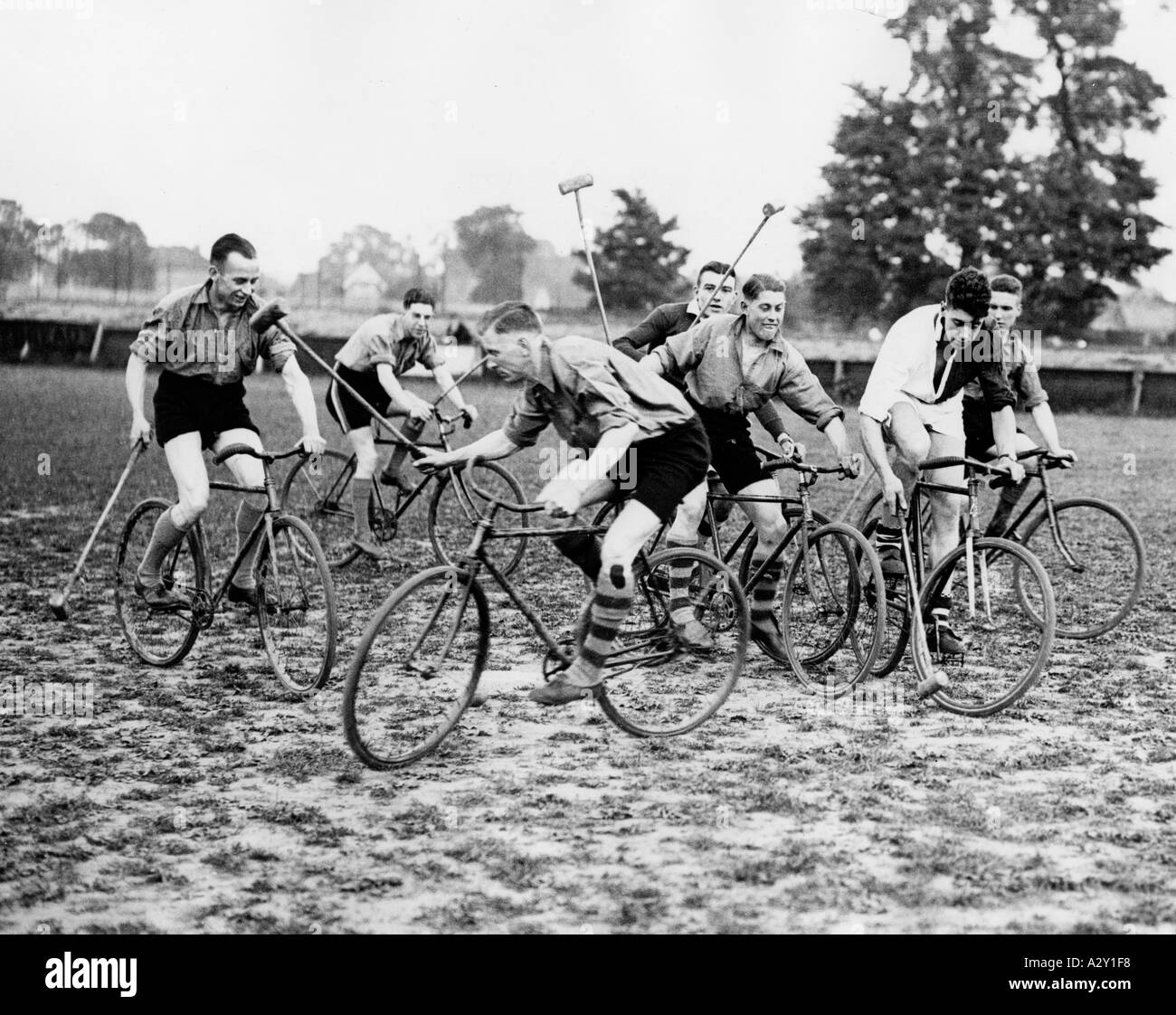 Radpolo hi-res stock photography and images - Alamy