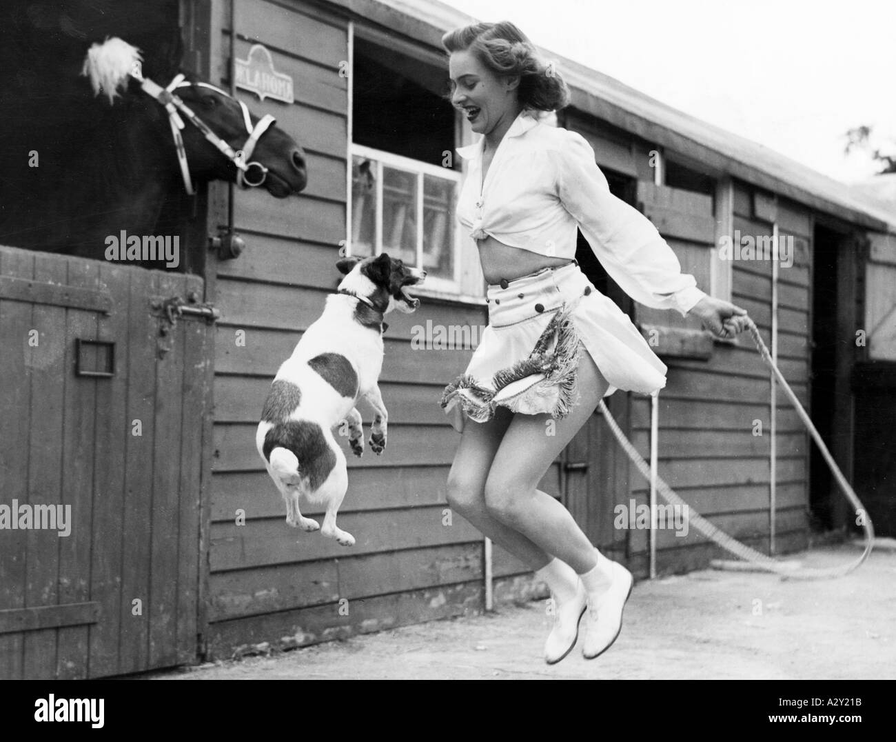 Skipping dog hi-res stock photography and images - Alamy