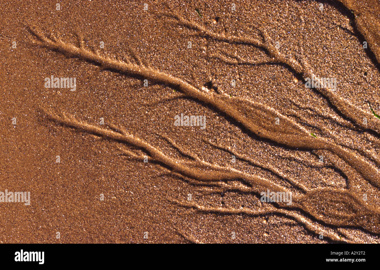 Natural patterns in the sand made by rivulets of water as the tide ...