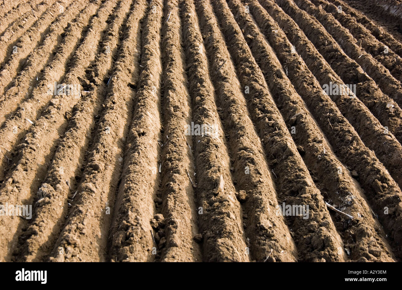 Freshly ploughed furrows Stock Photo - Alamy