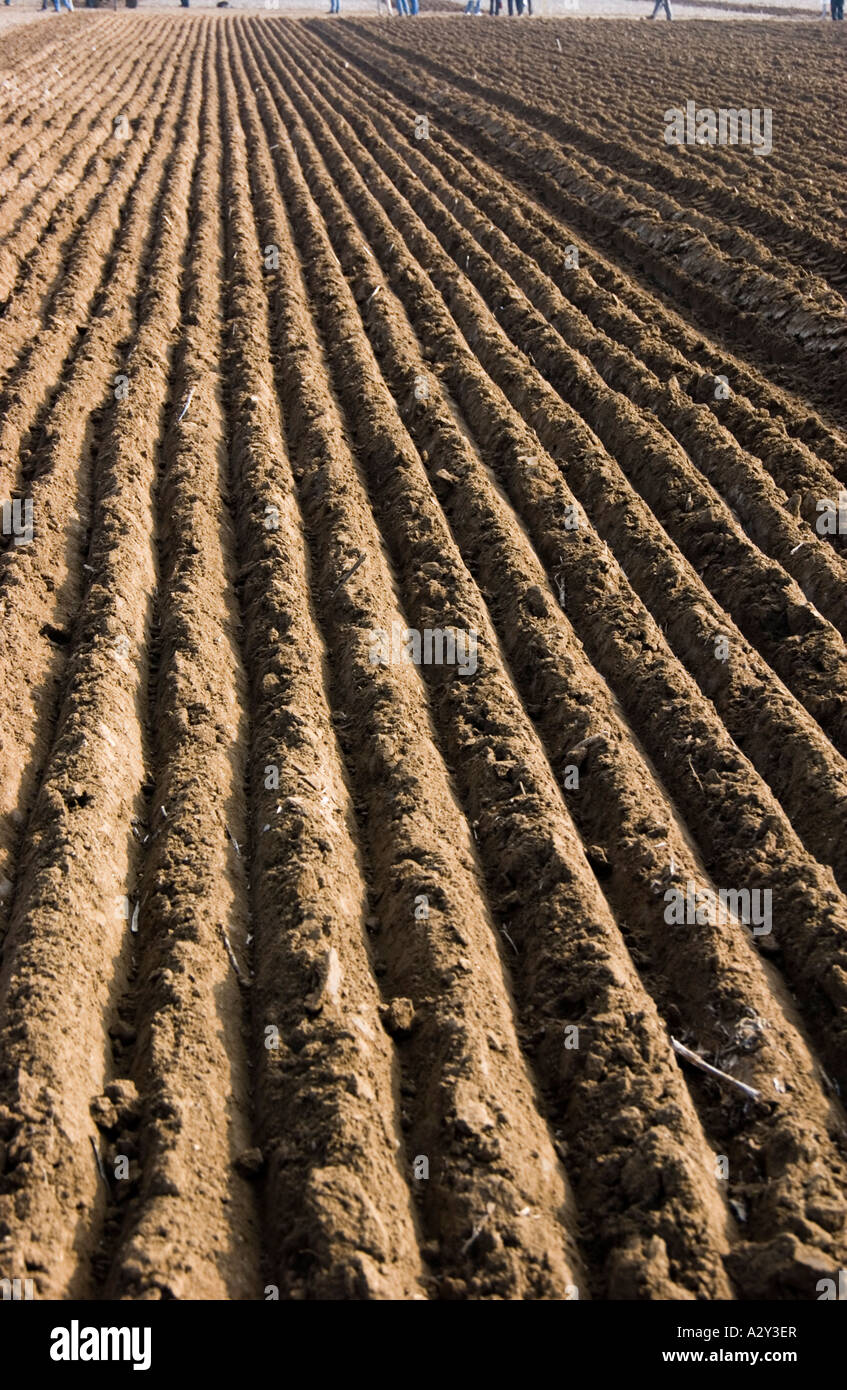 Freshly ploughed furrows Stock Photo - Alamy