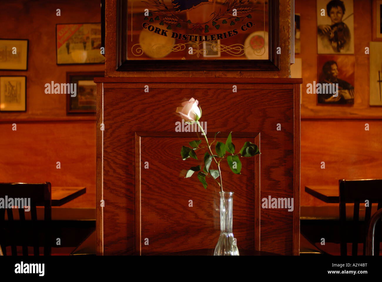 Single rose on table Stock Photo - Alamy