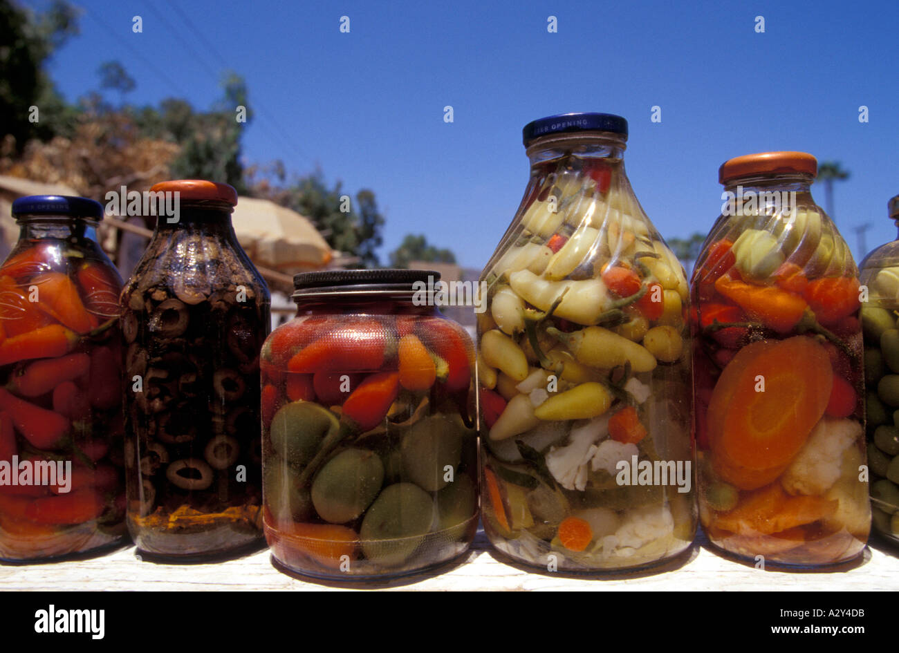 Pickles in a row hi-res stock photography and images - Alamy