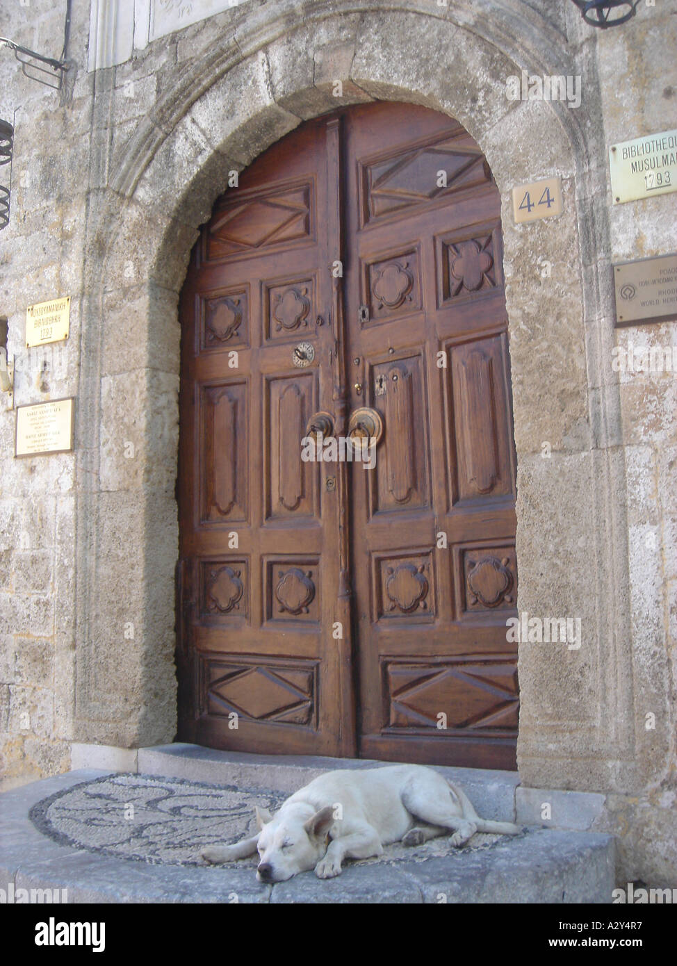 Dog sleeping outside gate hi-res stock photography and images - Alamy