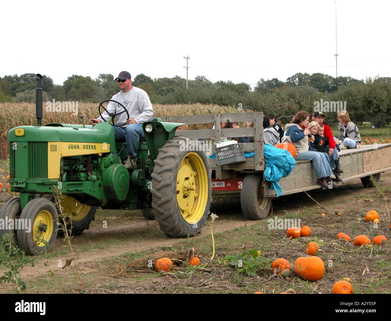 Families ride on a hay wagon in a pumpkin patch during autumn time for ...