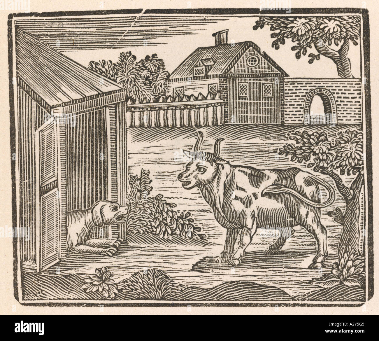 Cow dogs hi-res stock photography and images - Alamy