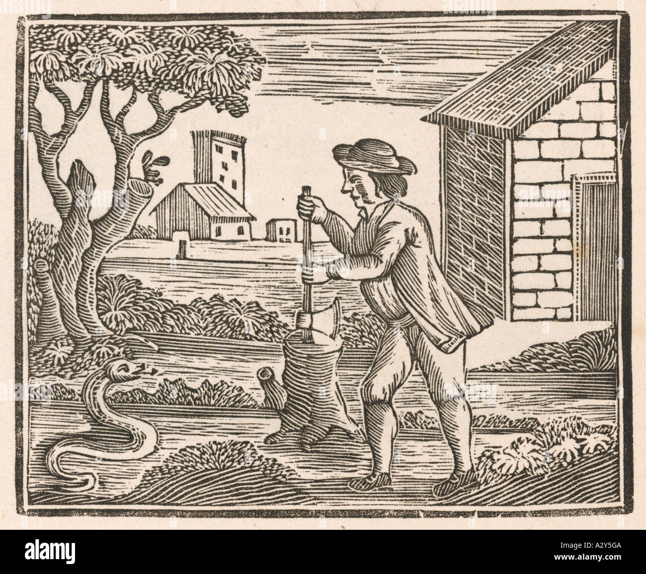 Man And Snake Stock Photo - Alamy