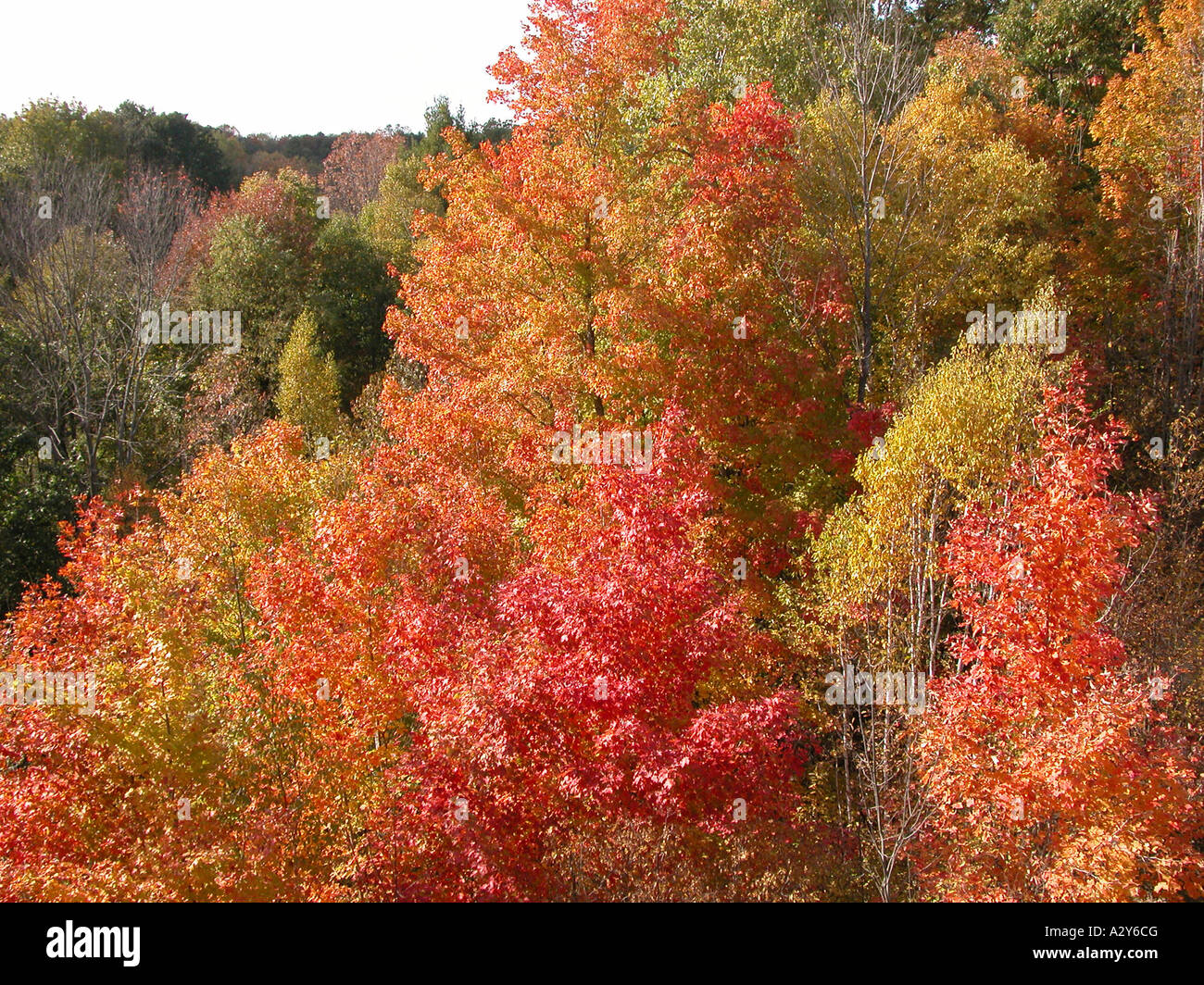 Minneapolis scenery hi-res stock photography and images - Alamy
