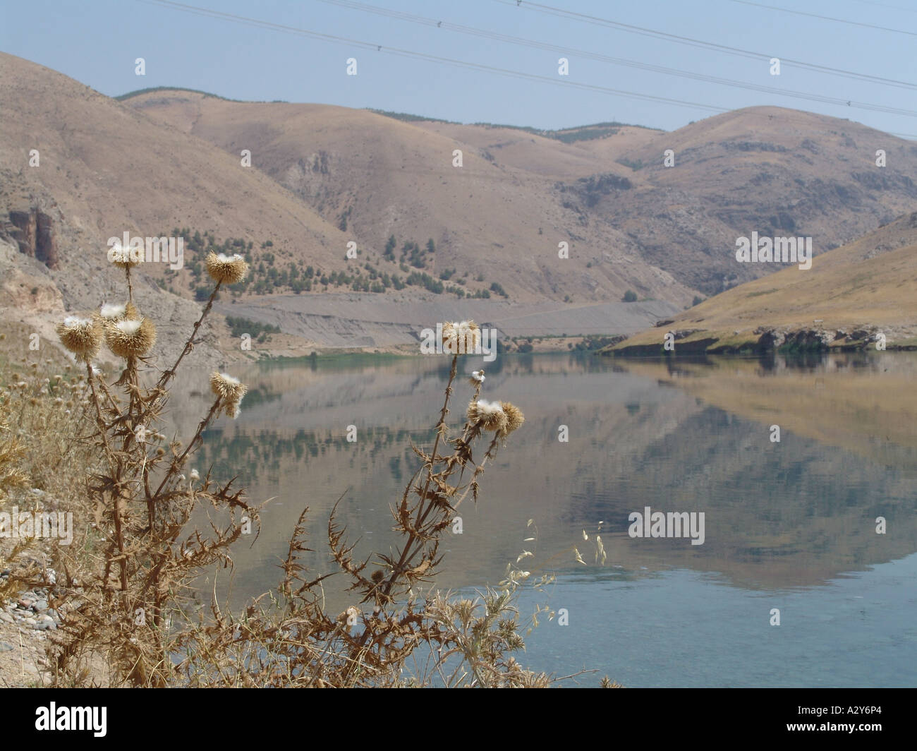 Vegetation against landscape, Euphrates River, Turkey (landscape ...
