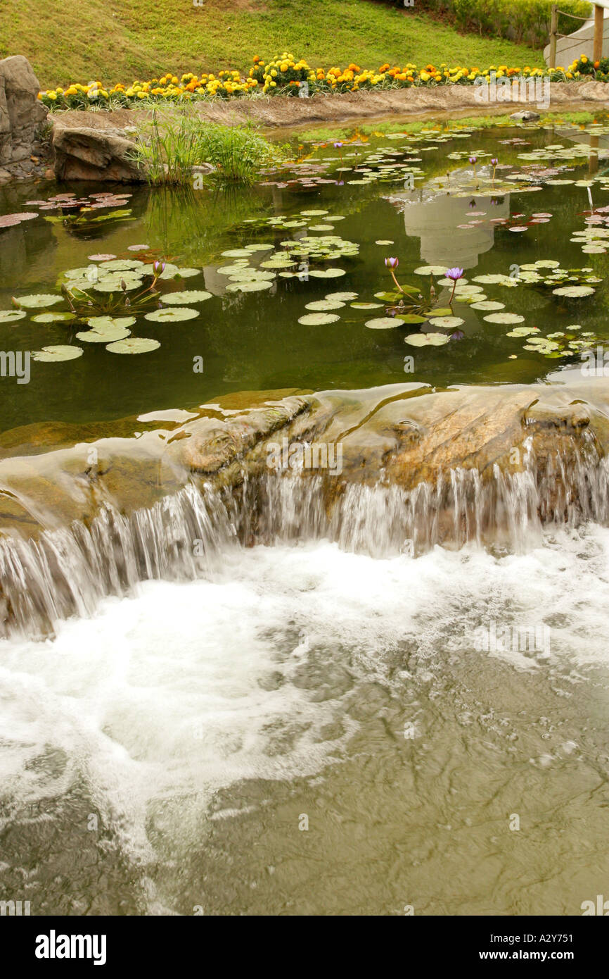 pond pool cistern lake beautiful swim couple peaceful tranquil placi ...