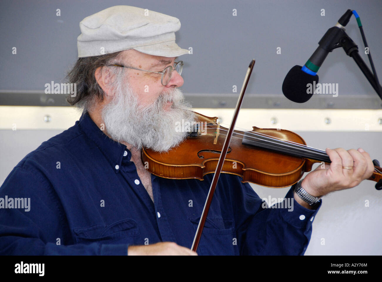 Musician plays a violin Stock Photo - Alamy