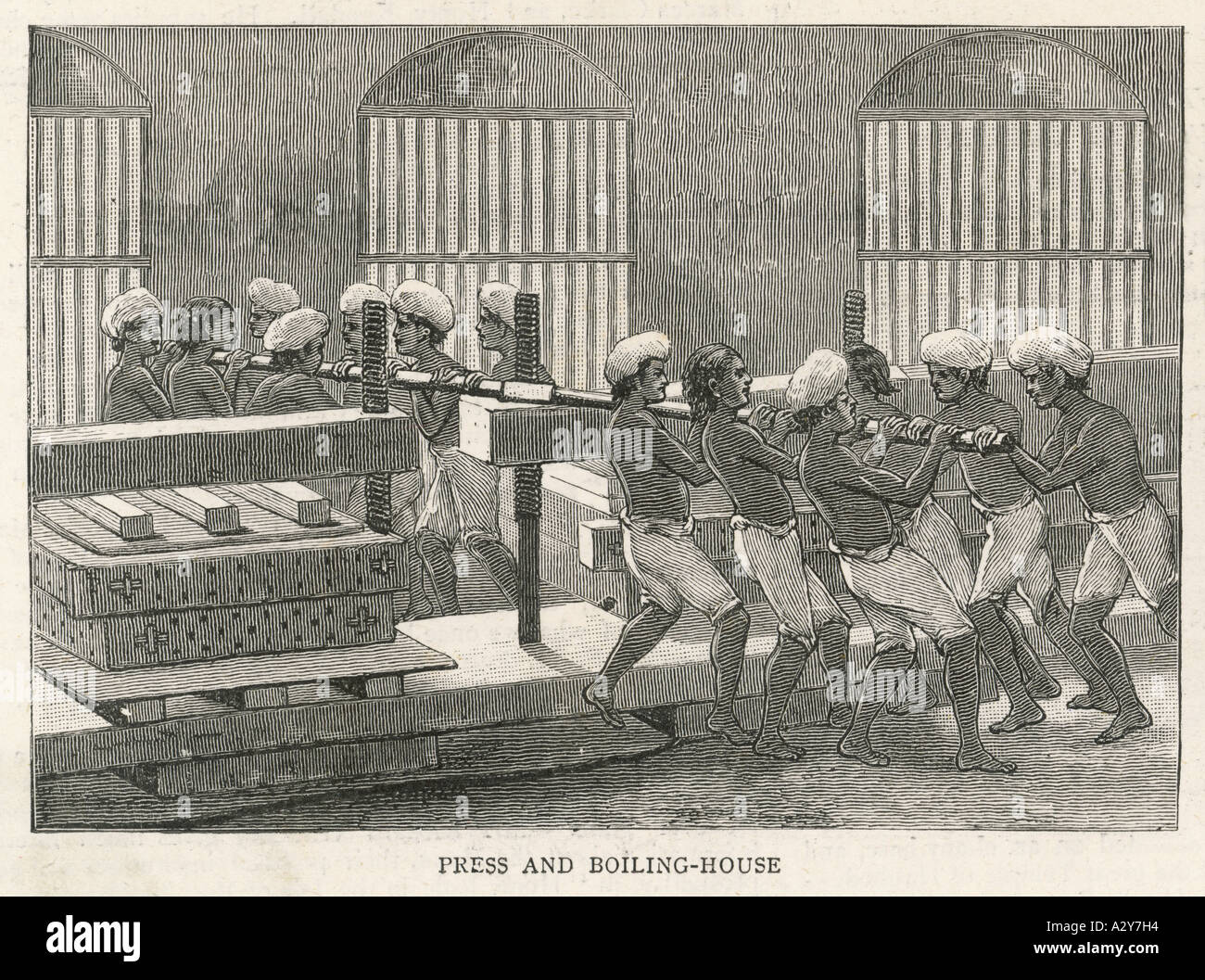 Indigo Factory India Stock Photo - Alamy