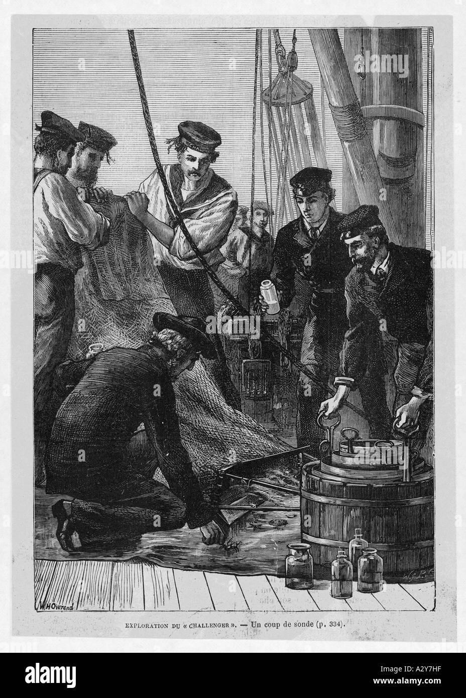 Collecting specimens hi-res stock photography and images - Alamy