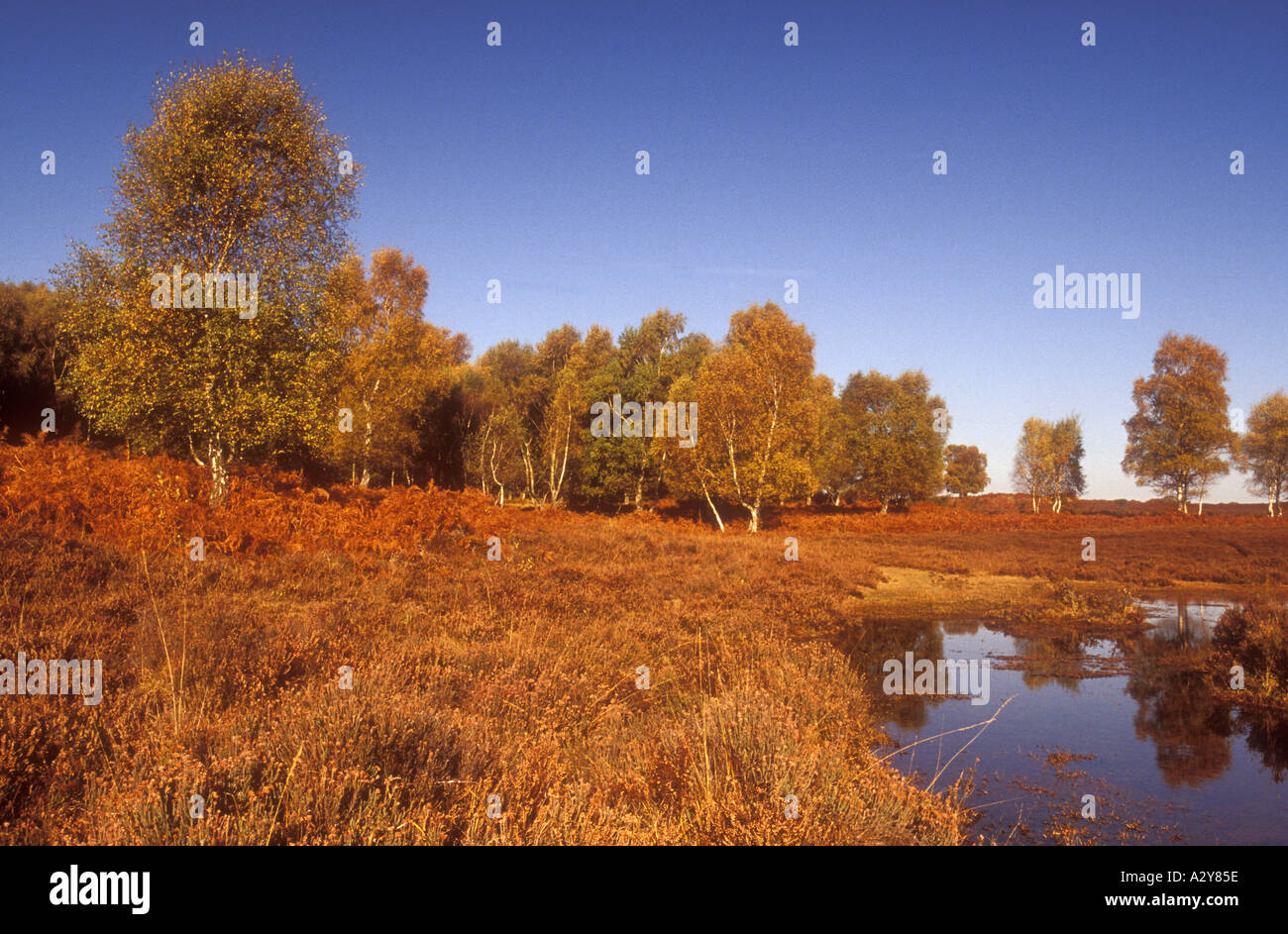 Shatterford bottom hi-res stock photography and images - Alamy