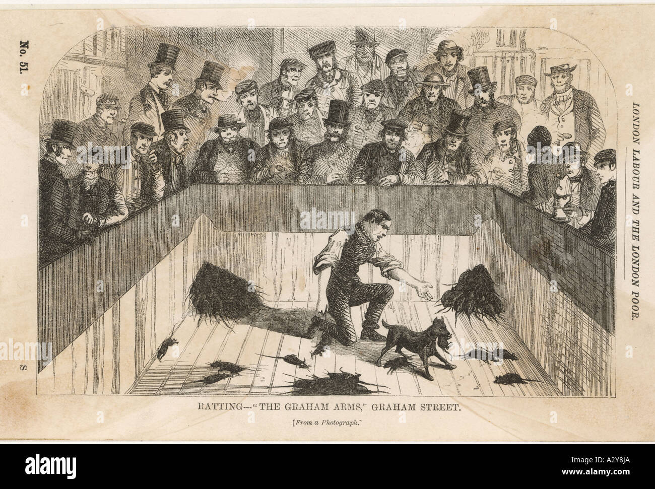 Graham house hi-res stock photography and images - Alamy