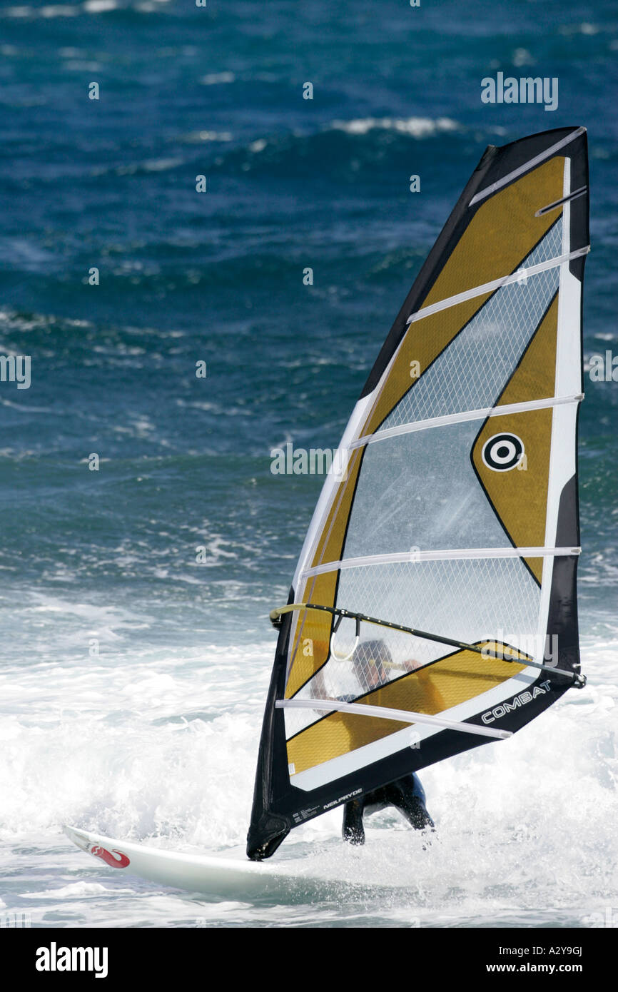 male windsurfer in wetsuit rides his gold and black board at speed in ...