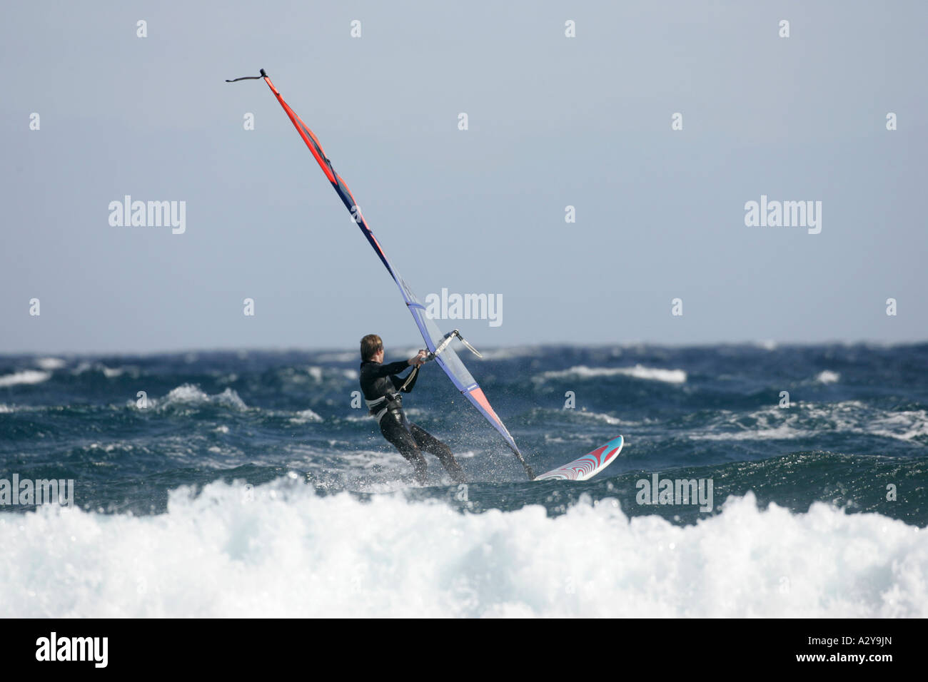 windsurfer in wetsuit rides their board at speed through the waves ...