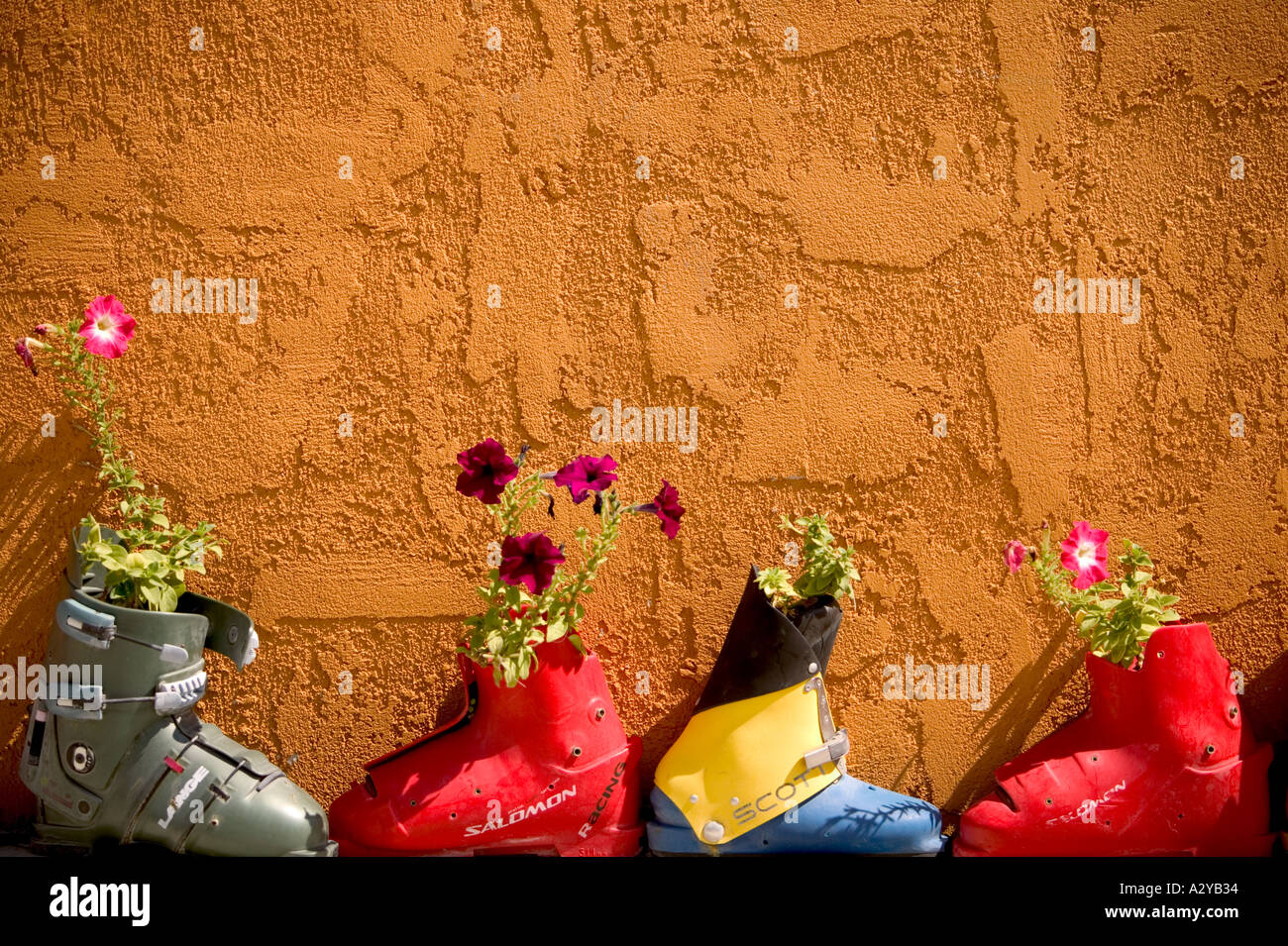 Gardening flowers in boot hi-res stock photography and images - Alamy
