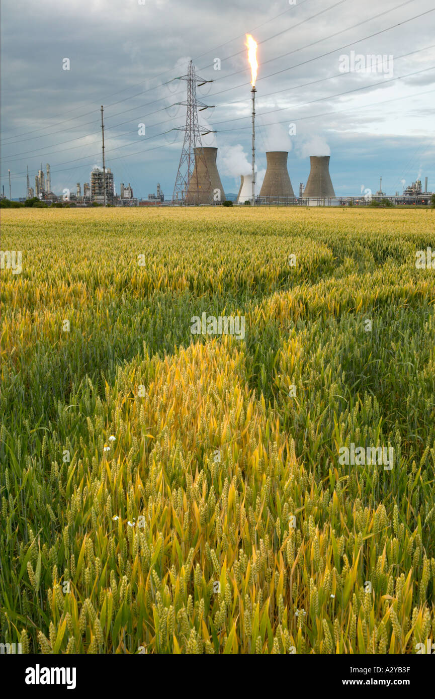 Grangemouth, Falkirk Region, Scotland, UK Stock Photo - Alamy