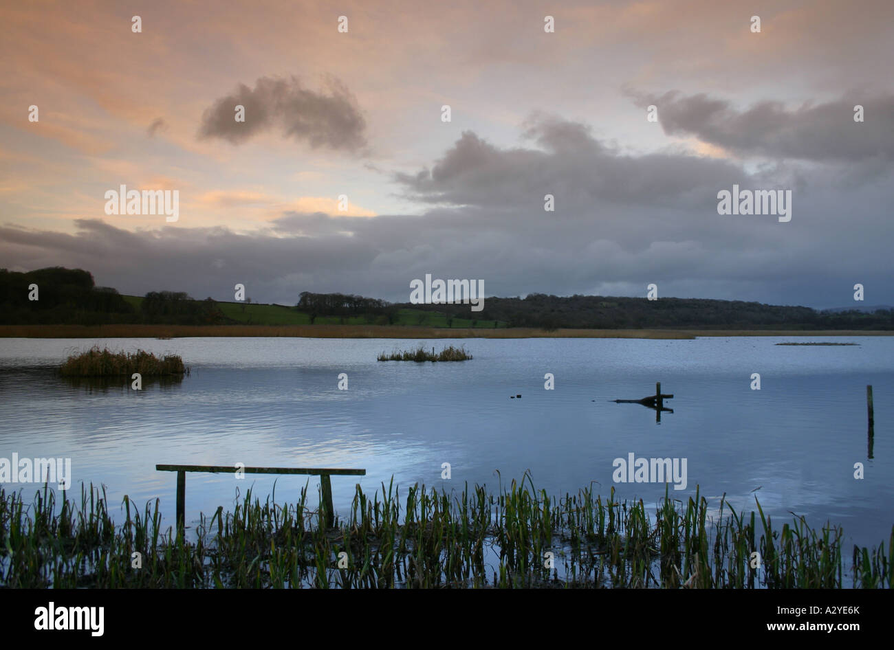 Leighton Moss RSPB Reserve at Dusk, Lancashire Stock Photo - Alamy