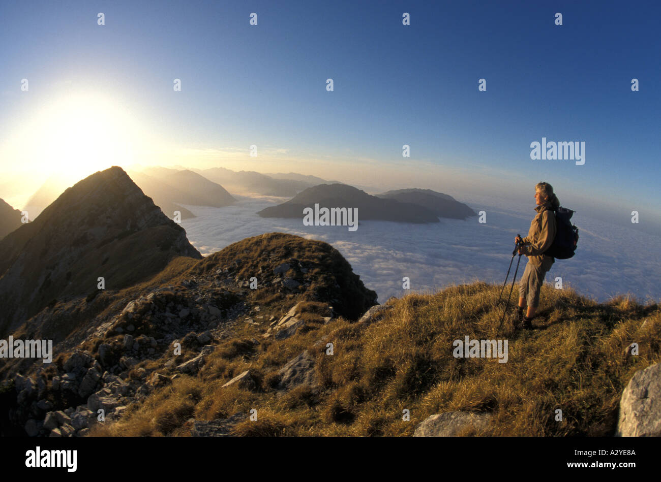 Man standing in awe mountains hi-res stock photography and images - Alamy