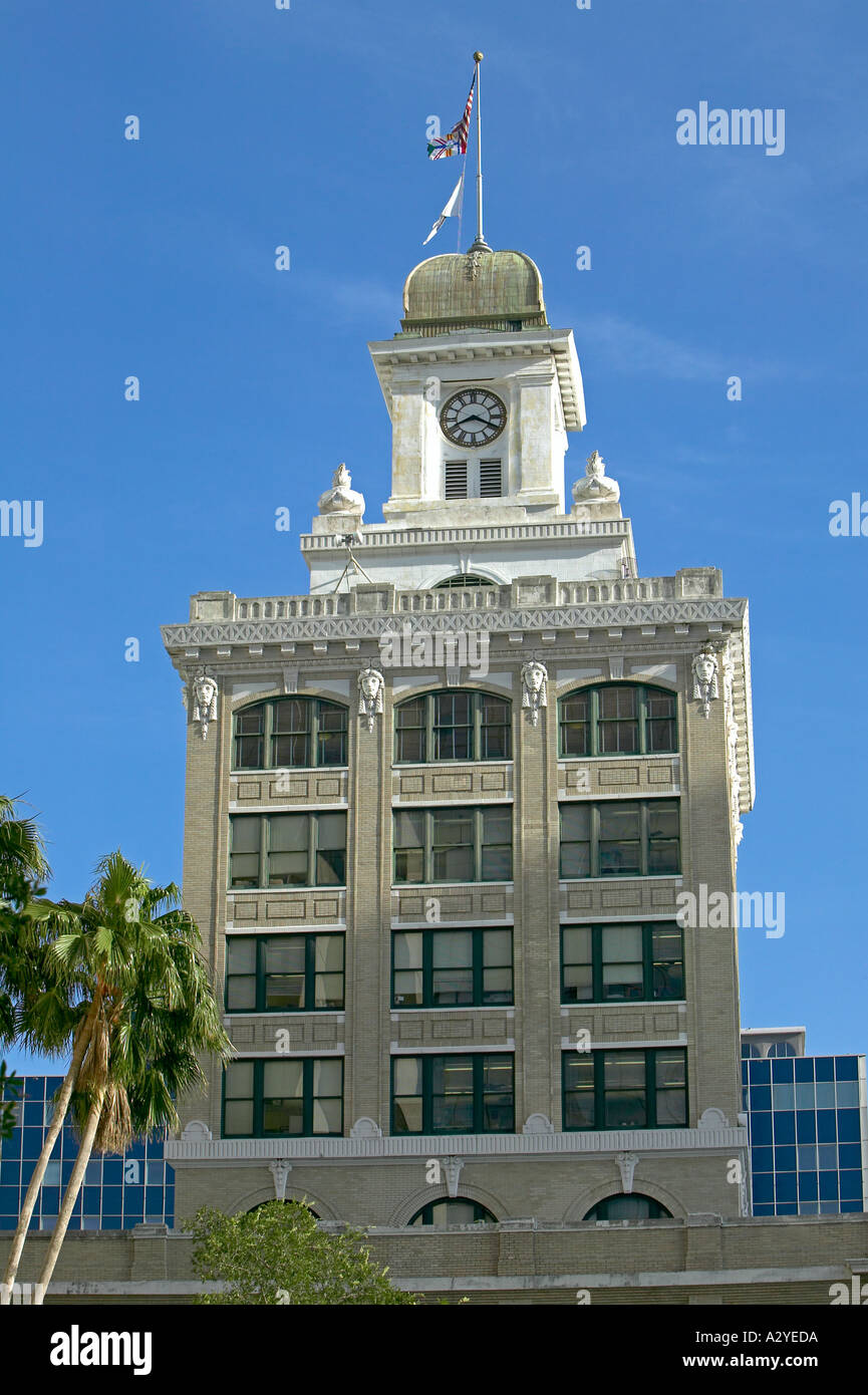 Tampa City Hall building Florida USA with blue sky and palm trees Stock ...