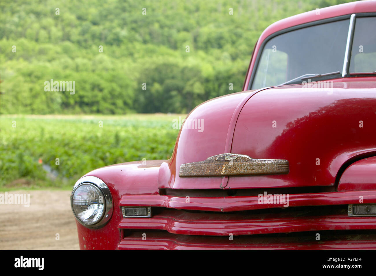 Red 1950 s Chevrolet model 3100 stepside pickup truck along dirt road ...