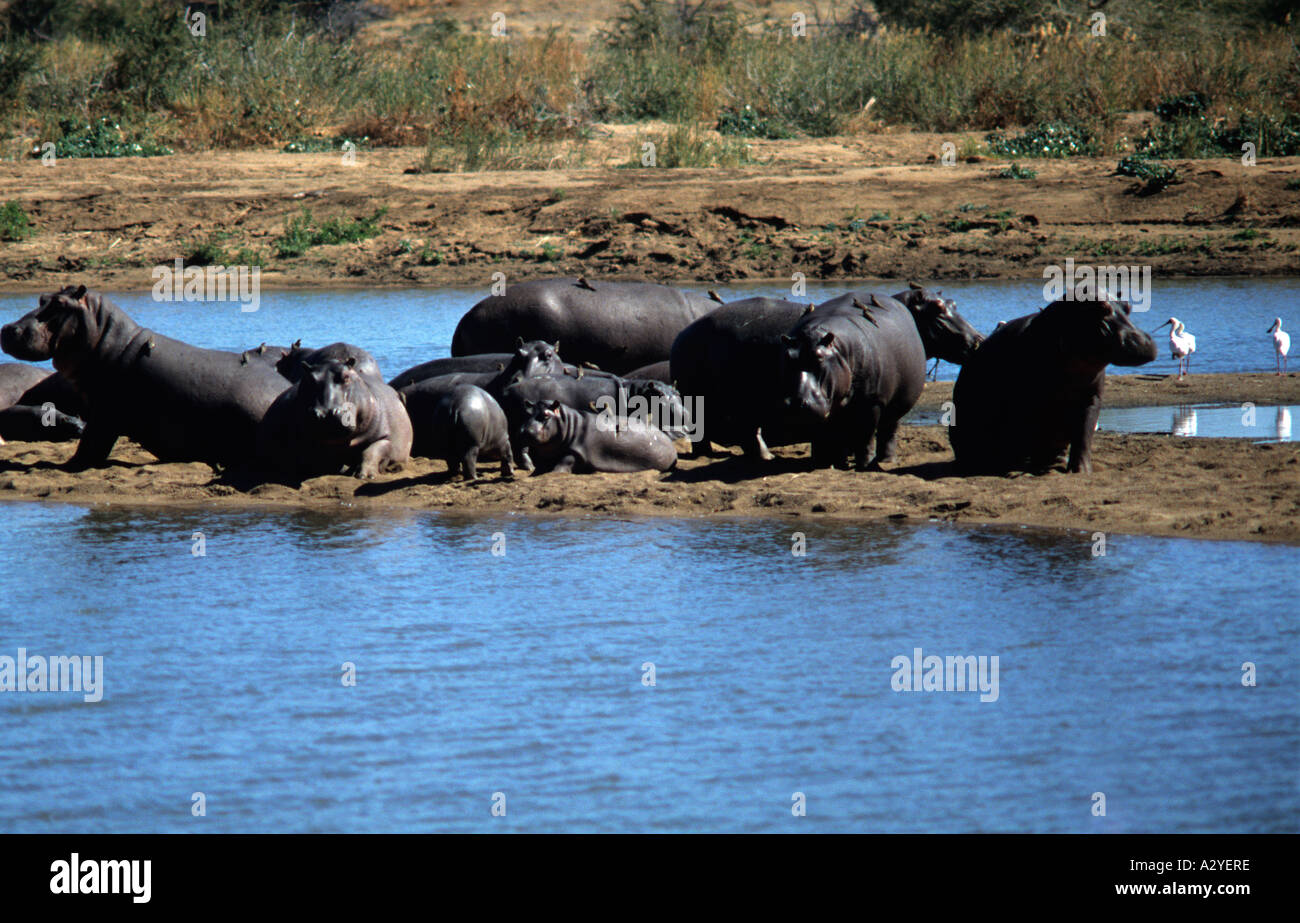 Save River Zimbabwe High Resolution Stock Photography and Images - Alamy
