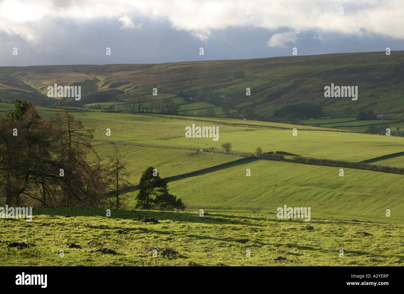 West allen dale hi-res stock photography and images - Alamy